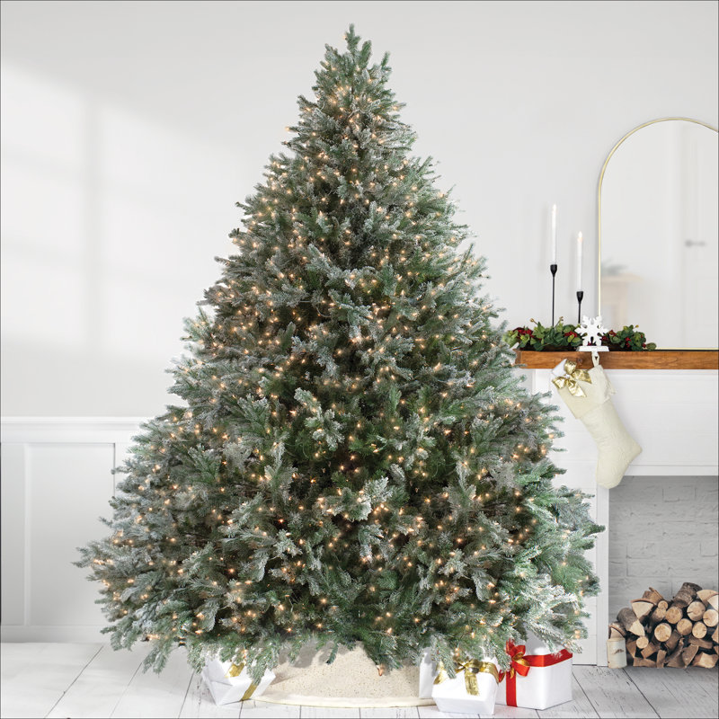 Northlight Seasonal 108' Lighted Artificial Fir Christmas Tree | Wayfair