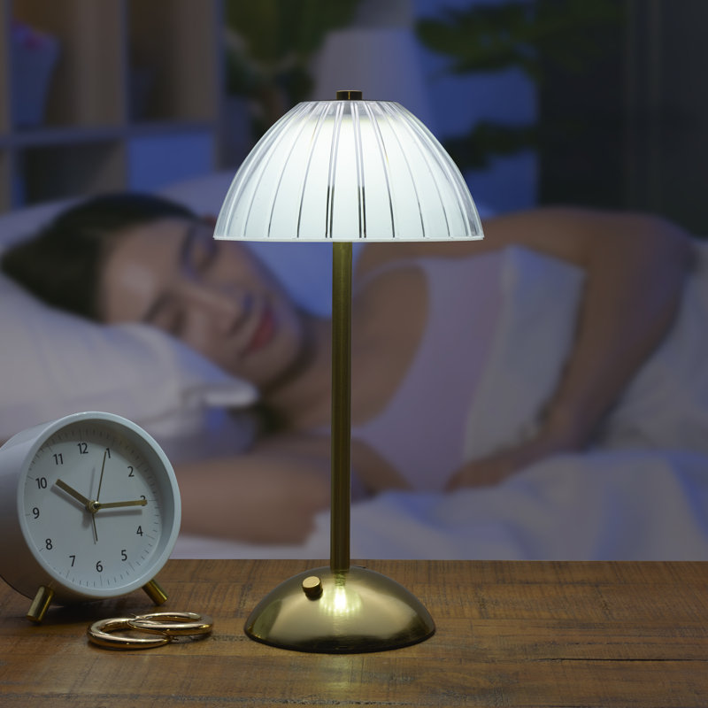 Elements Acrylic LED Rechargeable Portable Tabletop Lamp - Wayfair Canada