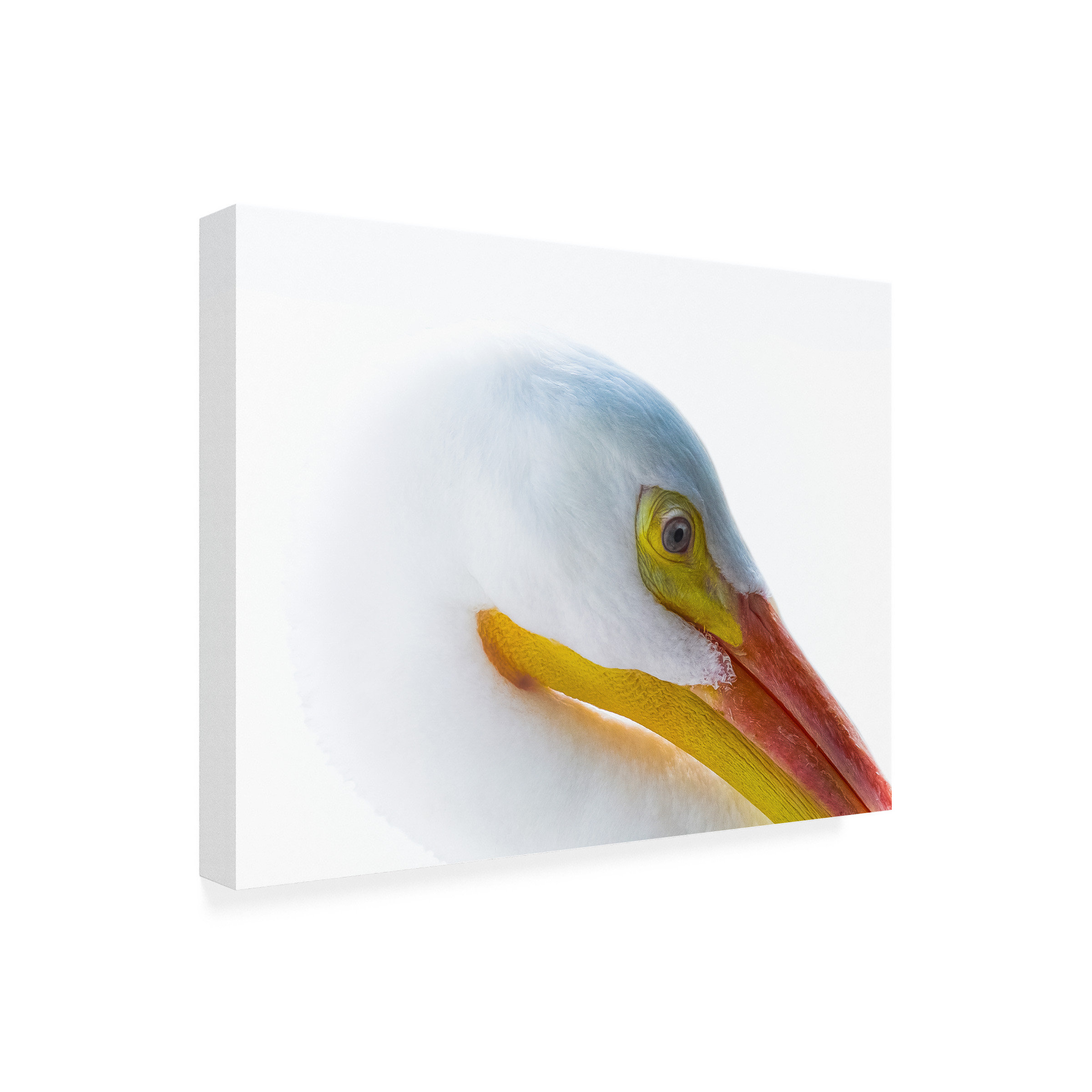 Ebern Designs Rescinding On Canvas by Lara C Chapman Canvas Art | Wayfair