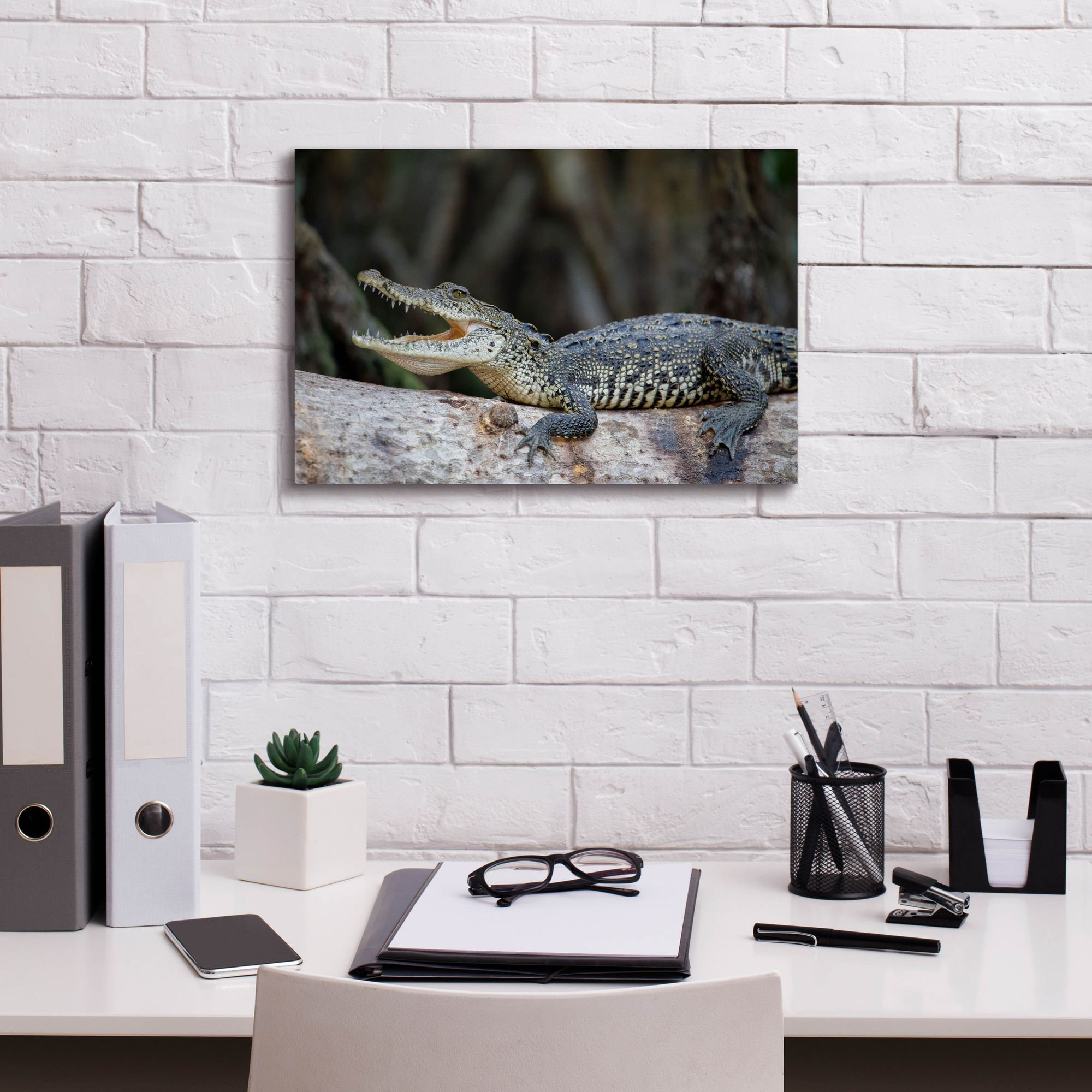 Latitude Run® Ready To Snap On Canvas by Jonathan Ross Print | Wayfair