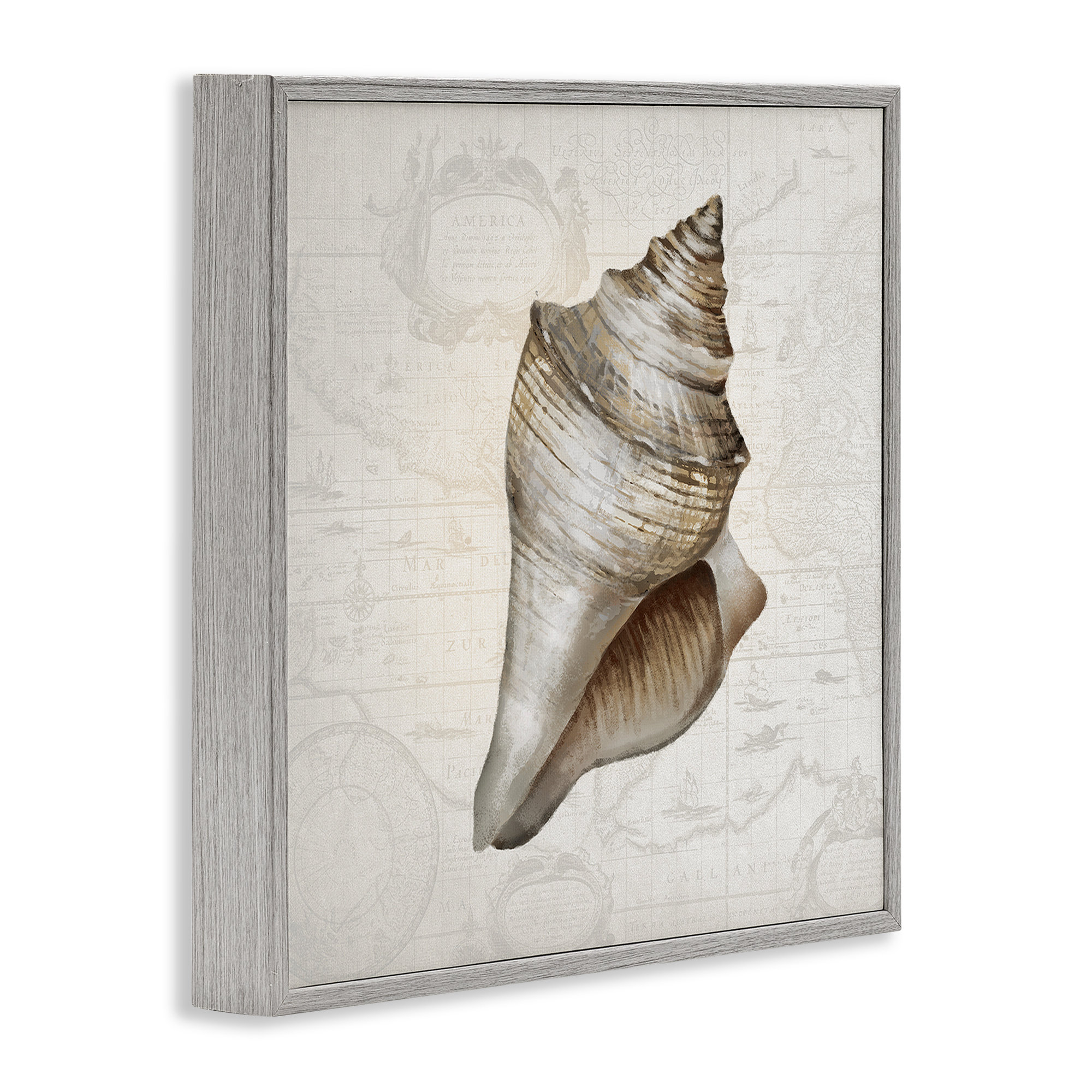 Breakwater Bay Conch Shell over Vintage Map Framed Giclee, design by ...