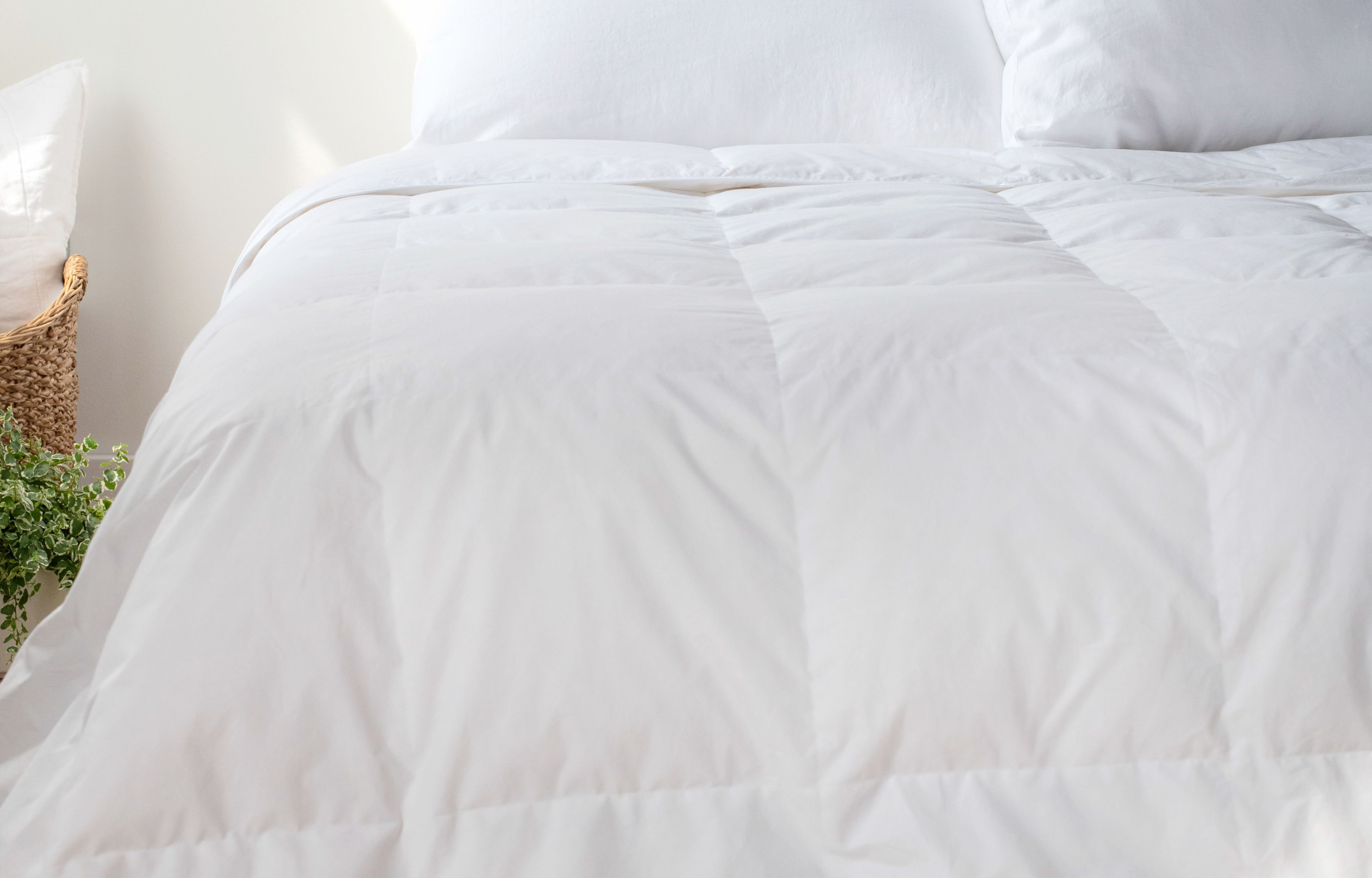 BOKSER HOME Lightweight Feather & Down Duvet Comforter Insert | Wayfair