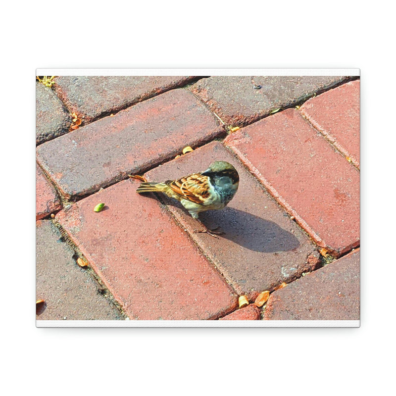 Latitude Run® Bird by Kelly Johnson - Wrapped Canvas Graphic Art | Wayfair