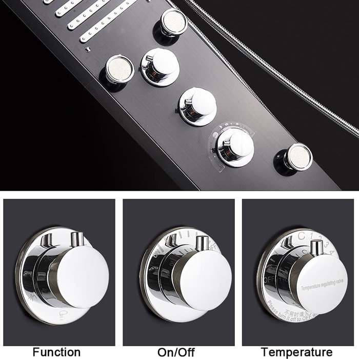 Senlesen 43.7'' Shower Panel with Fixed Shower Head | Wayfair