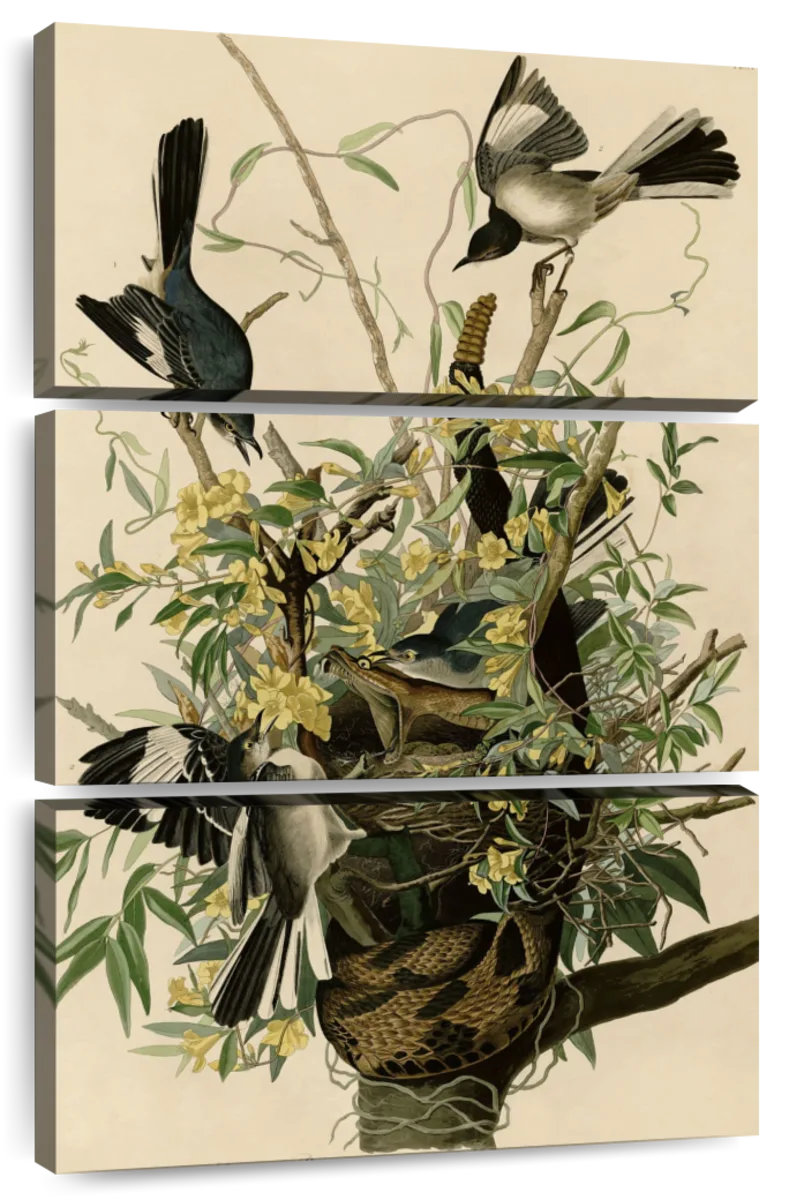 Ebern Designs Brampt Mocking Bird | Wayfair