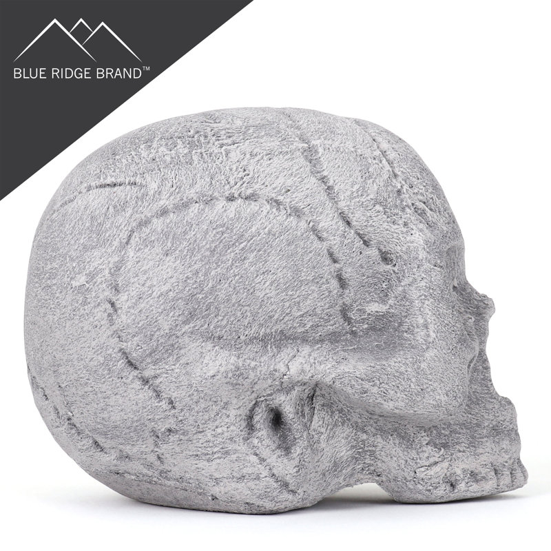 Blue Ridge Brand Skeleton Head/Skull Decor For Outdoor Fire Pit | Wayfair