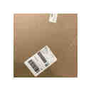 Bungalow Rose 'Peacock with Border II' Print on Wrapped Canvas ...