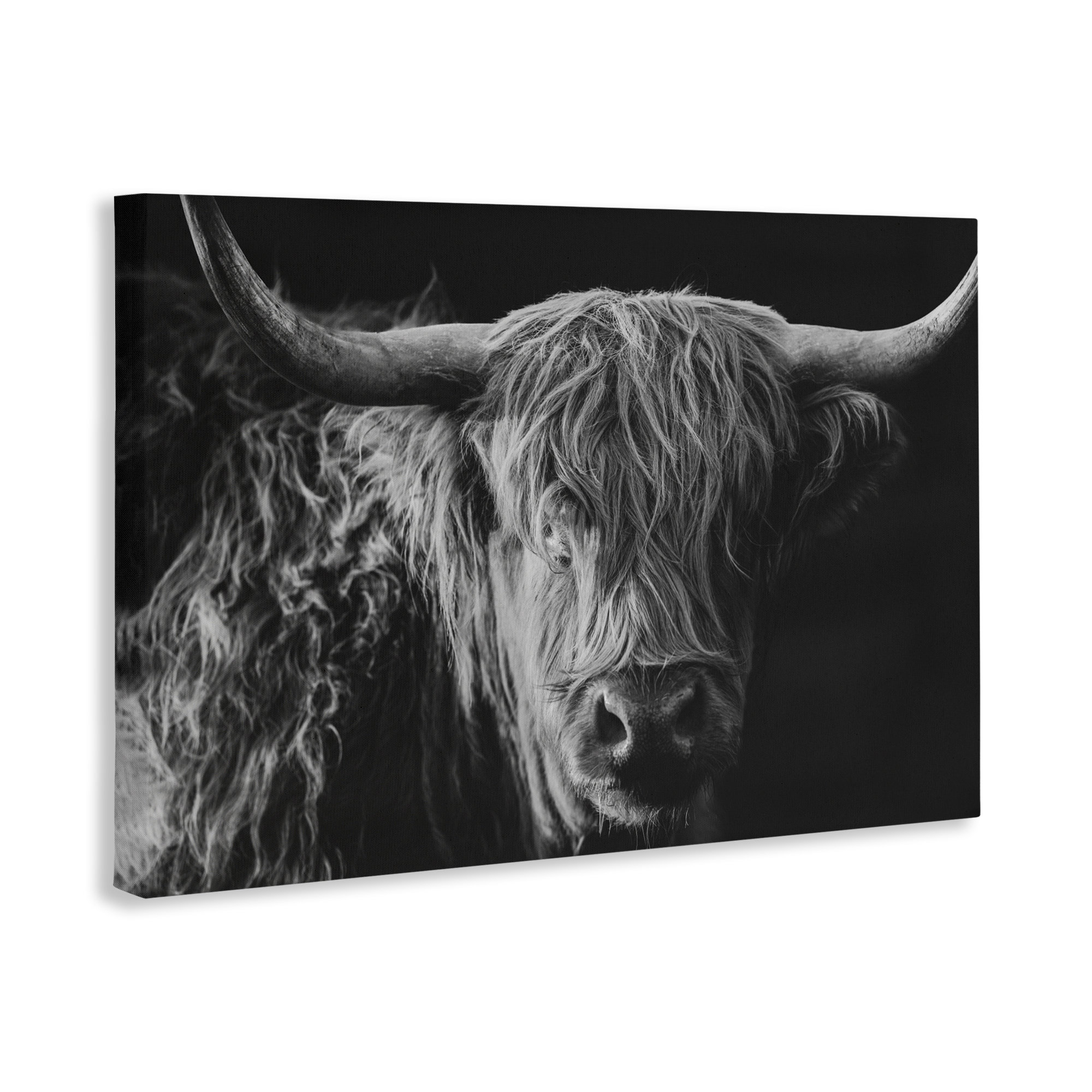 Millwood Pines Scottish Highland Portrait Canvas, design by Crystal ...