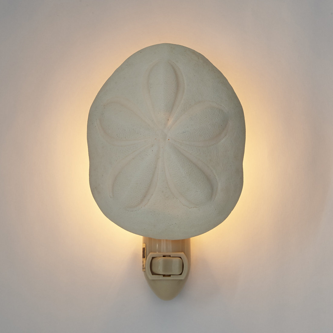 The Seashell Company Sea Biscuit Boxed LED Night Light - Wayfair Canada