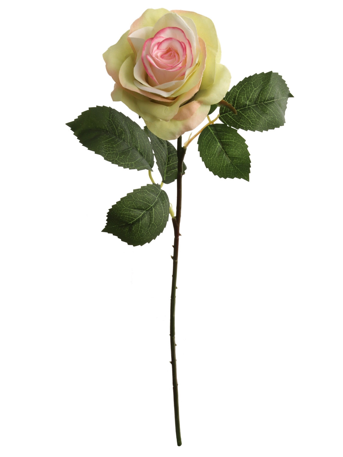 Primrue Gorgeous Harmony Roses Stem - Wayfair Canada