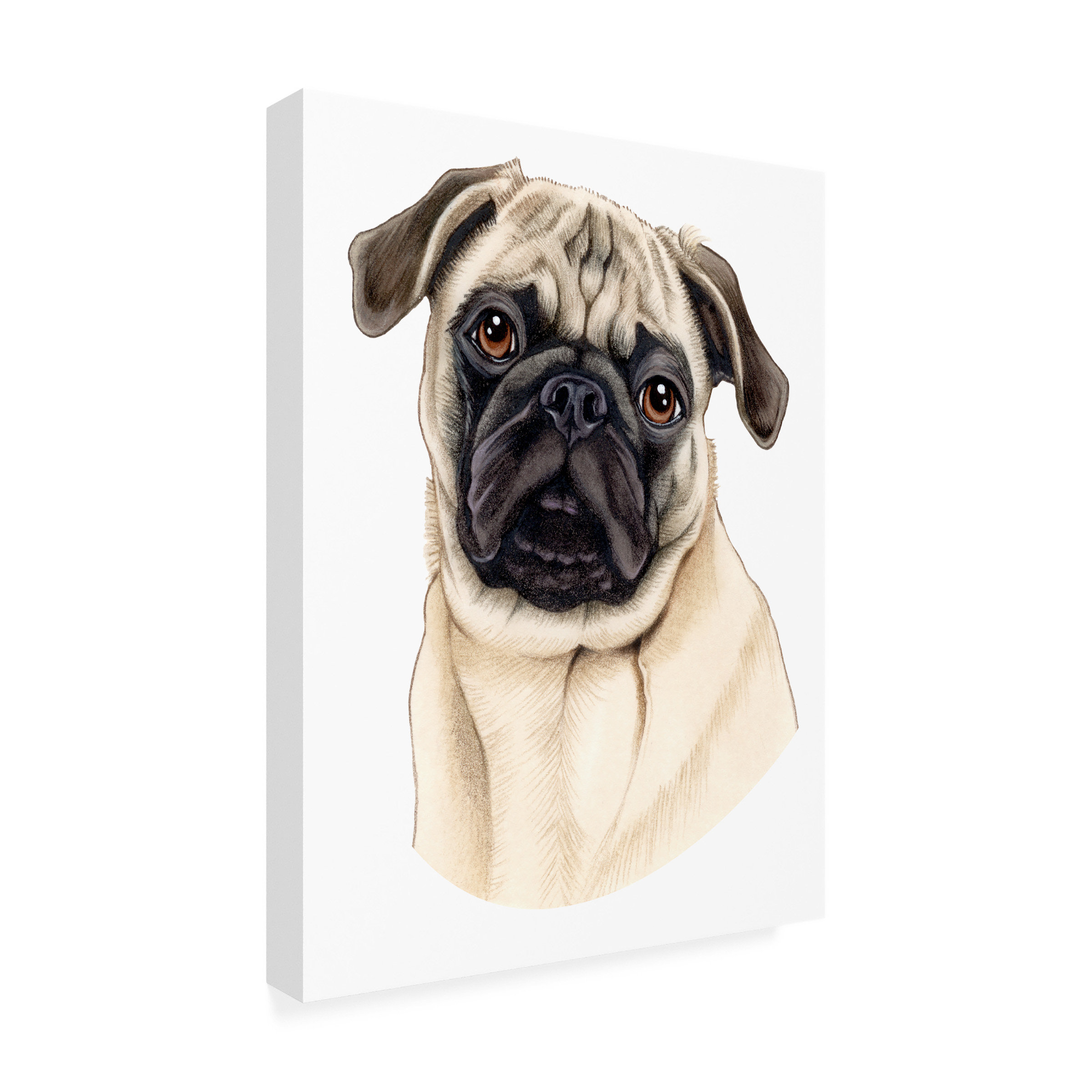 Winston Porter Pug Fawn by Tomoyo Pitcher - Wrapped Canvas Print | Wayfair