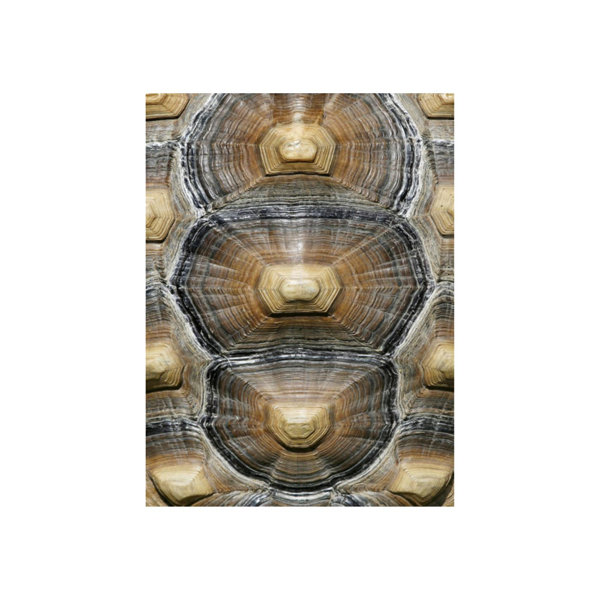 Chelsea Art Studio Austin Beiv " Carapaced Motif VI " by Austin Beiv ...