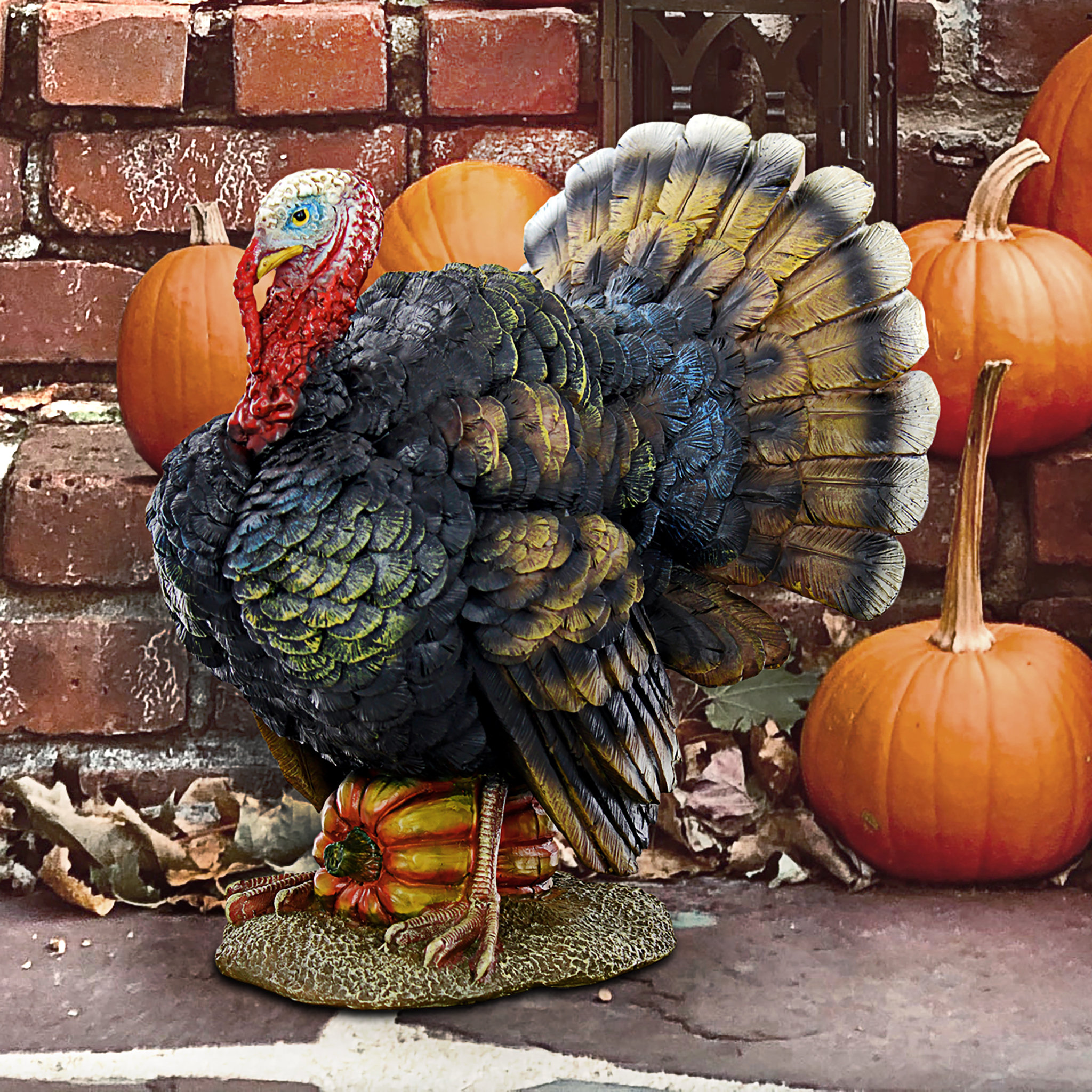 Design Toscano Thomas the Turkey Statue & Reviews | Wayfair