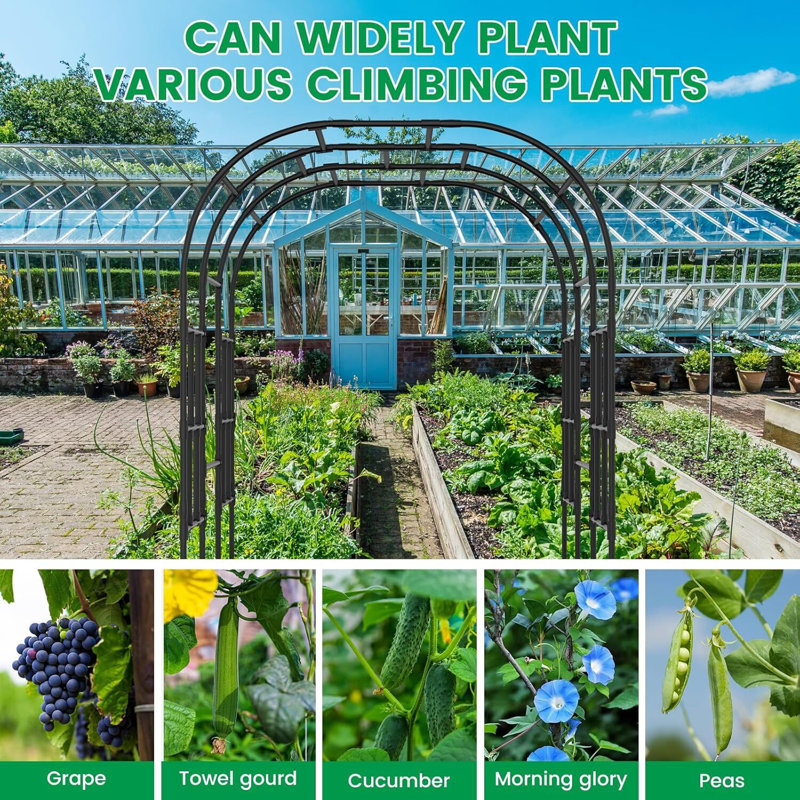 ShangQuan WuLiu Outdoor Garden Arch Trellis, Extra Large Garden Trellis ...