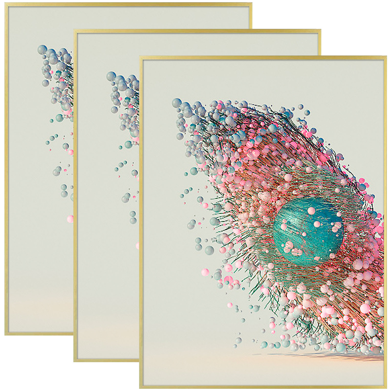 Poster Frames 24 X 18