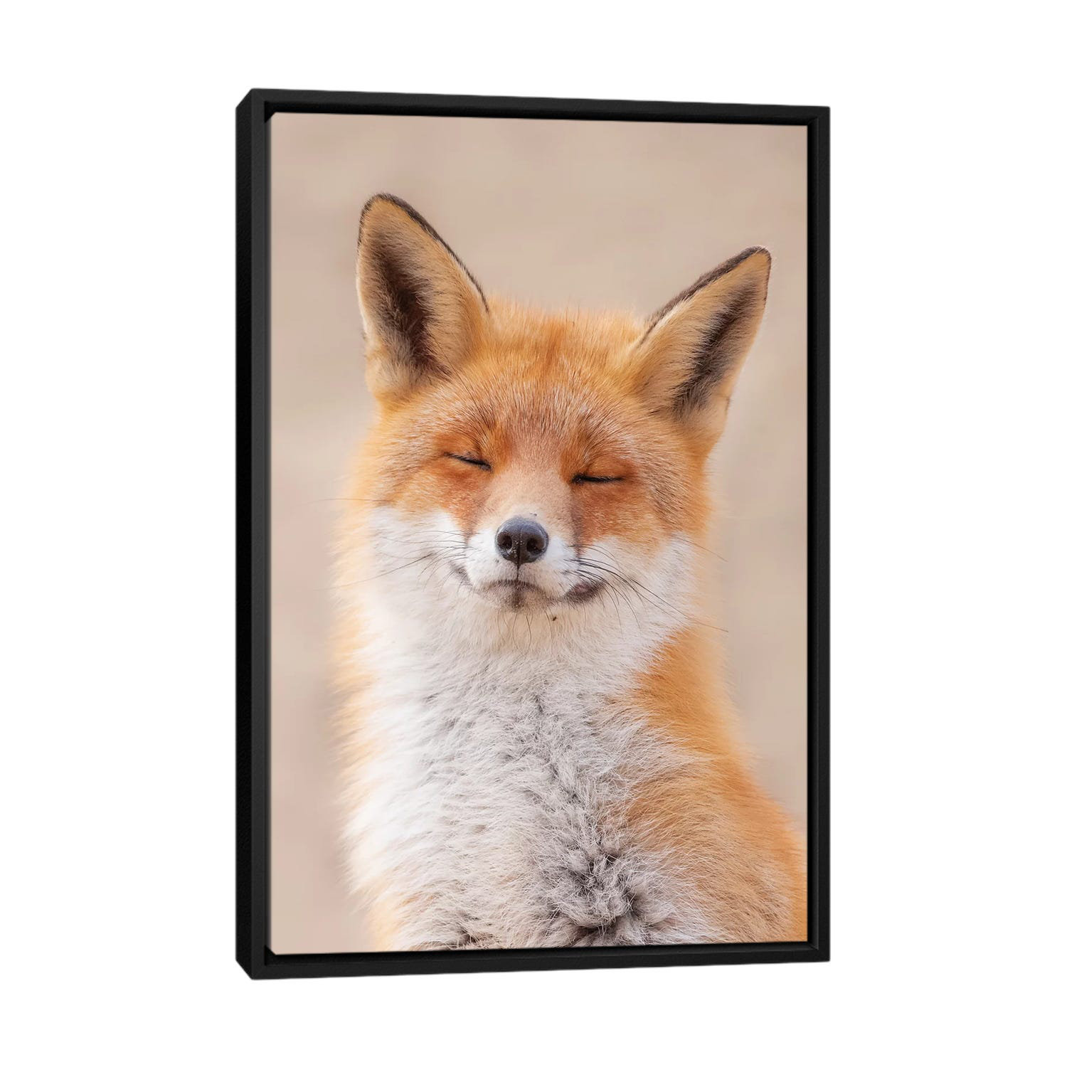 East Urban Home Zen Fox | Wayfair