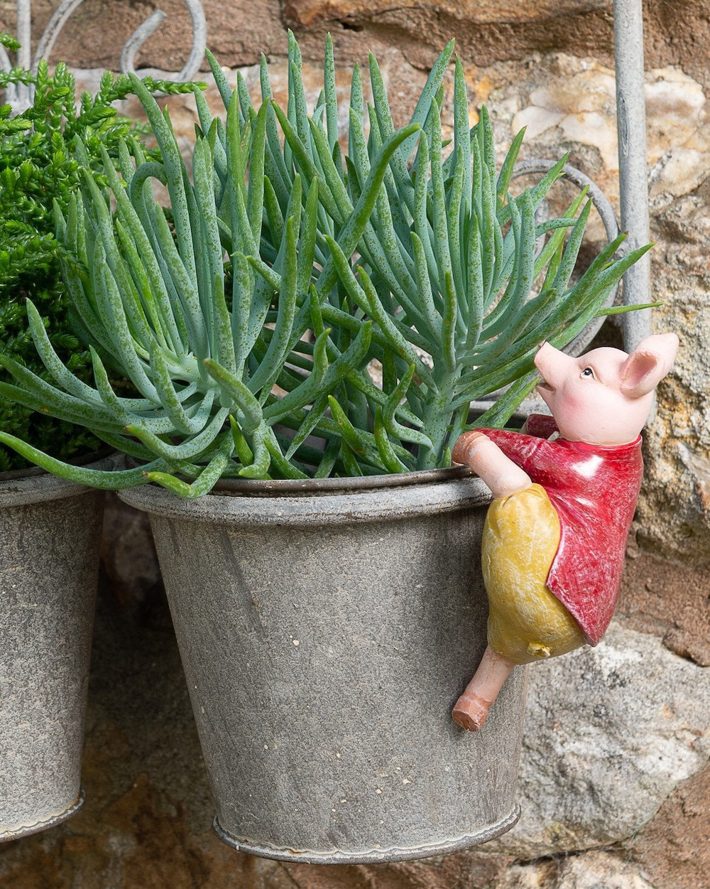 Jardinopia Beatrix Potter Pigling Bland Pot Buddy Pot Hanger In Gift ...