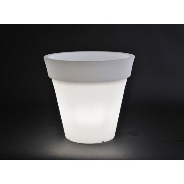 Ivy Bronx PEGASUS Conical Pot | Wayfair.co.uk