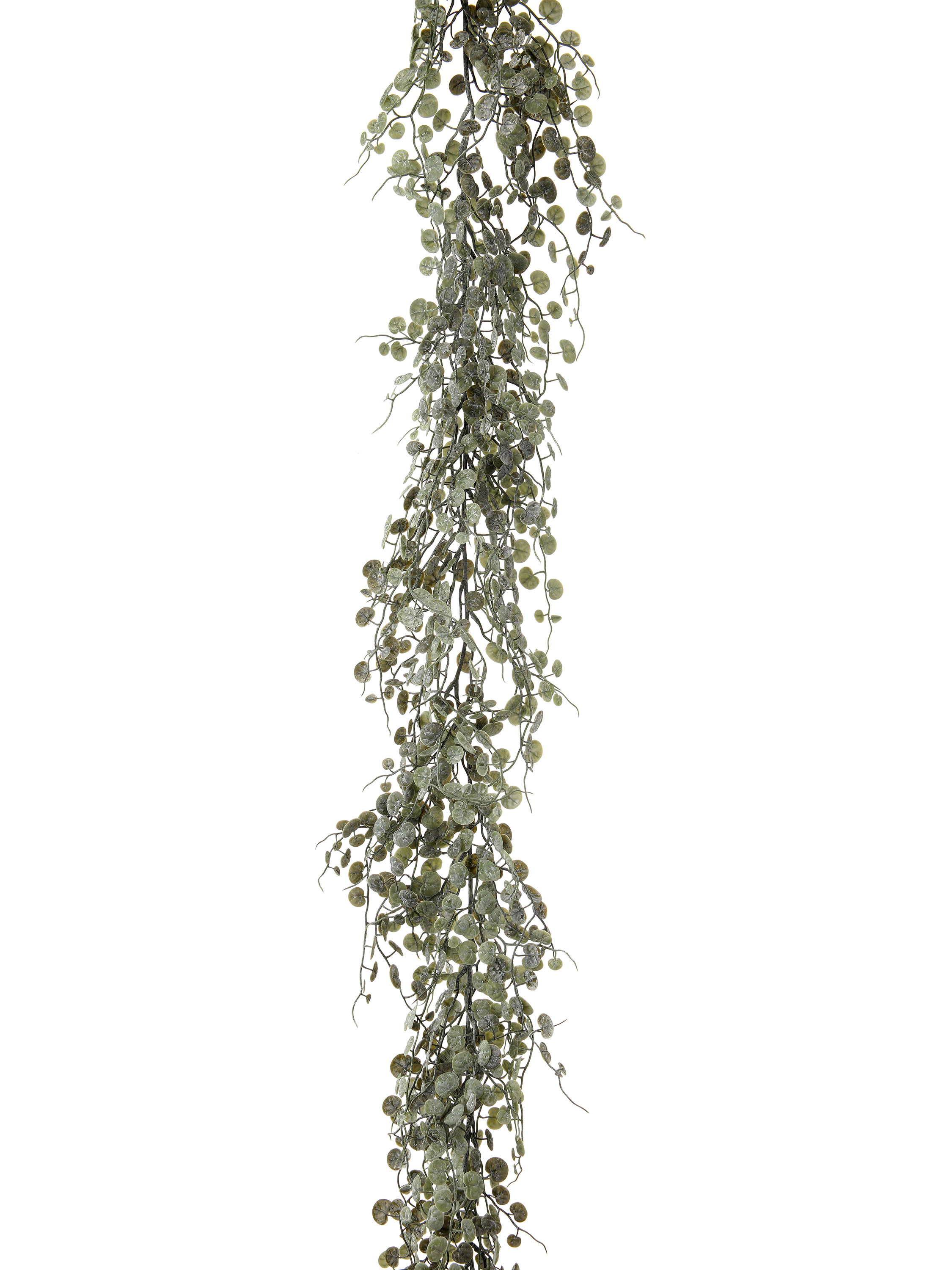 Regency International 72" Weathered Button leaf garland | Wayfair