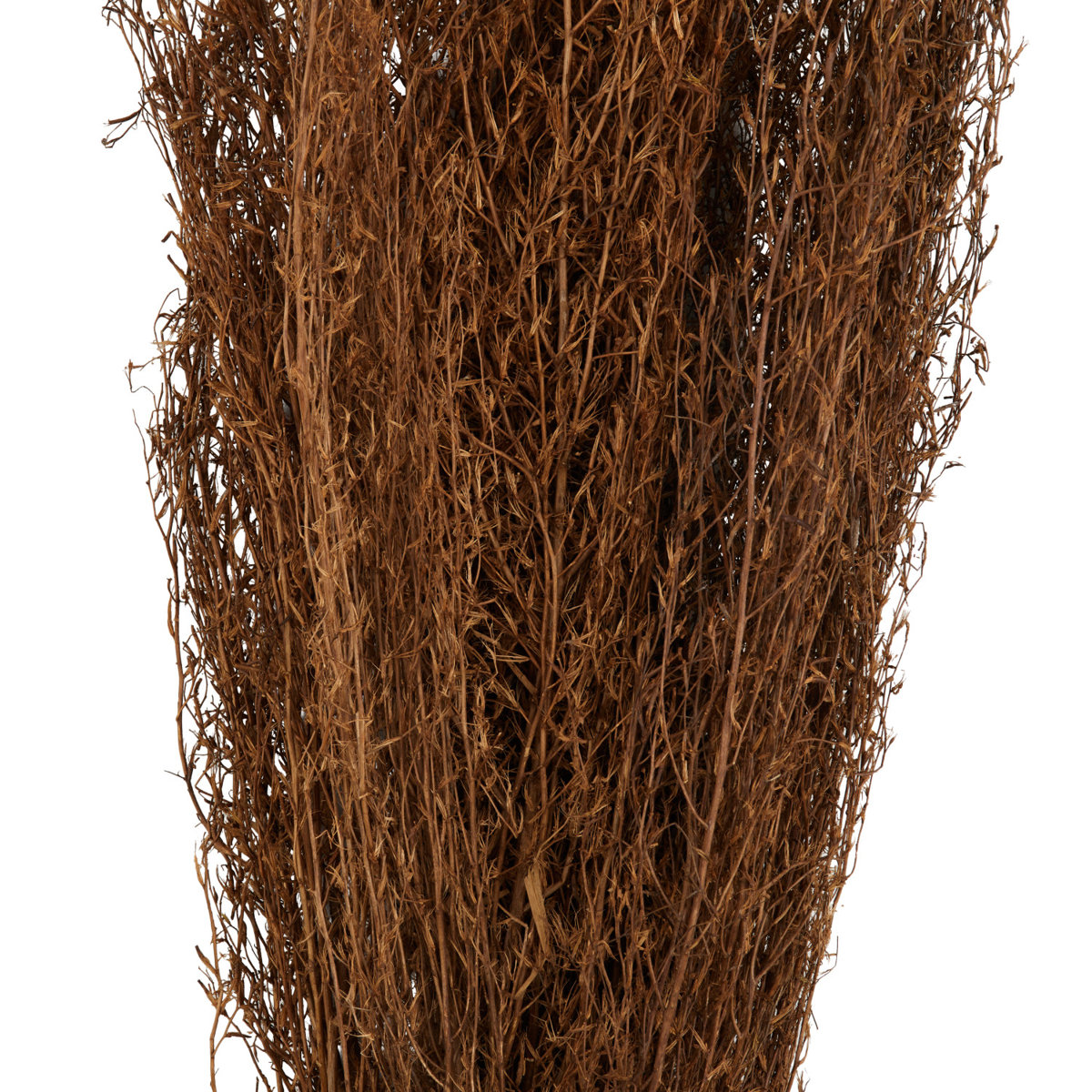 Primrue Cole And Grey Dried Plant Tall Sticks Natural Foliage | Wayfair