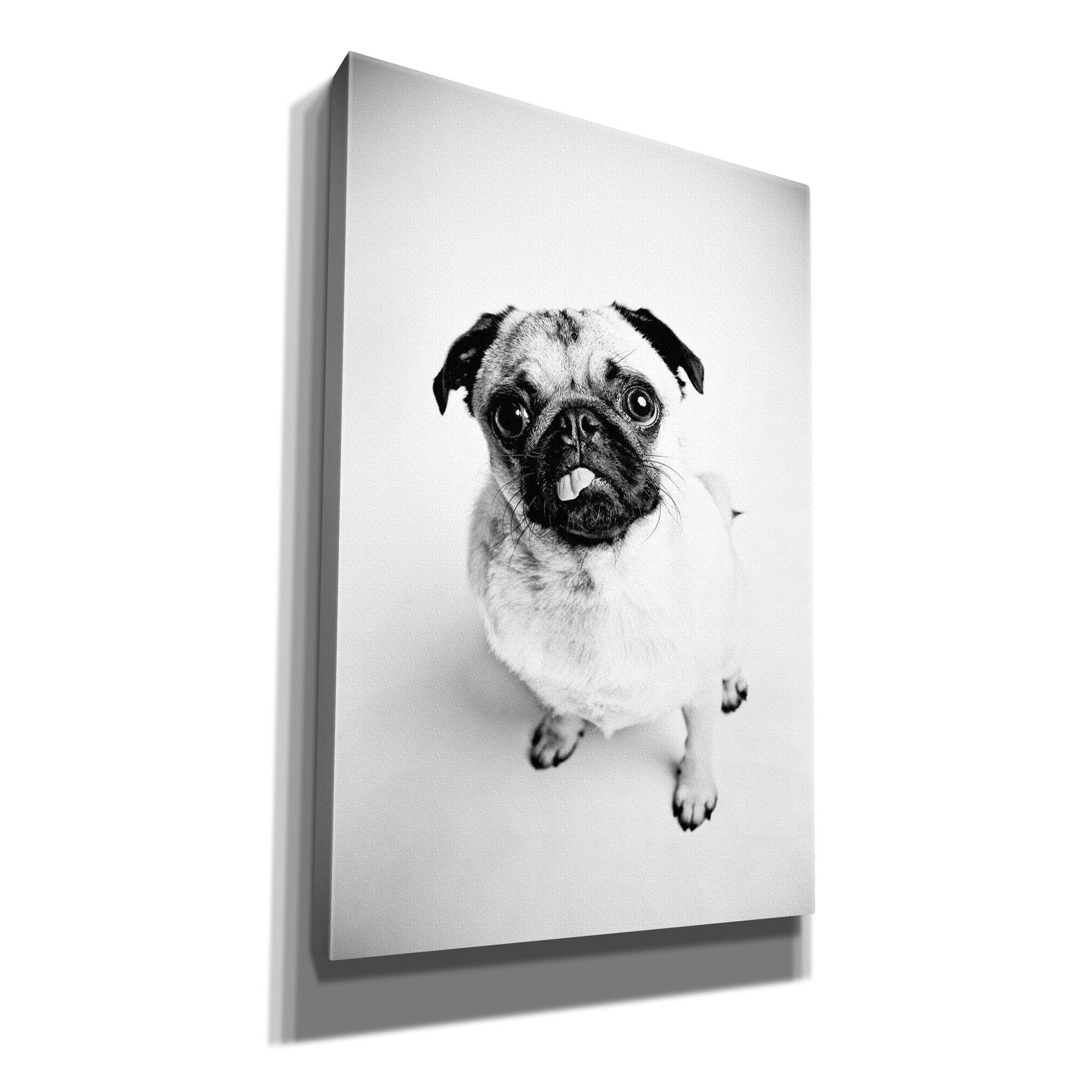 Latitude Run® 'Piggie 7' By Susan Sabo, Canvas Wall Art - Wayfair Canada