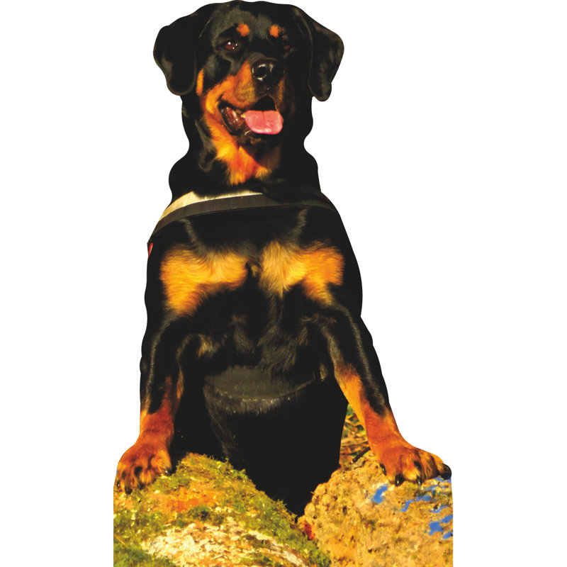 Wet Paint Printing Peeking Over Rock 47" Cardboard Cutout | Wayfair