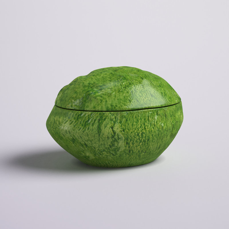 Hashtag Home Dolomite Lime Box 6" | Wayfair