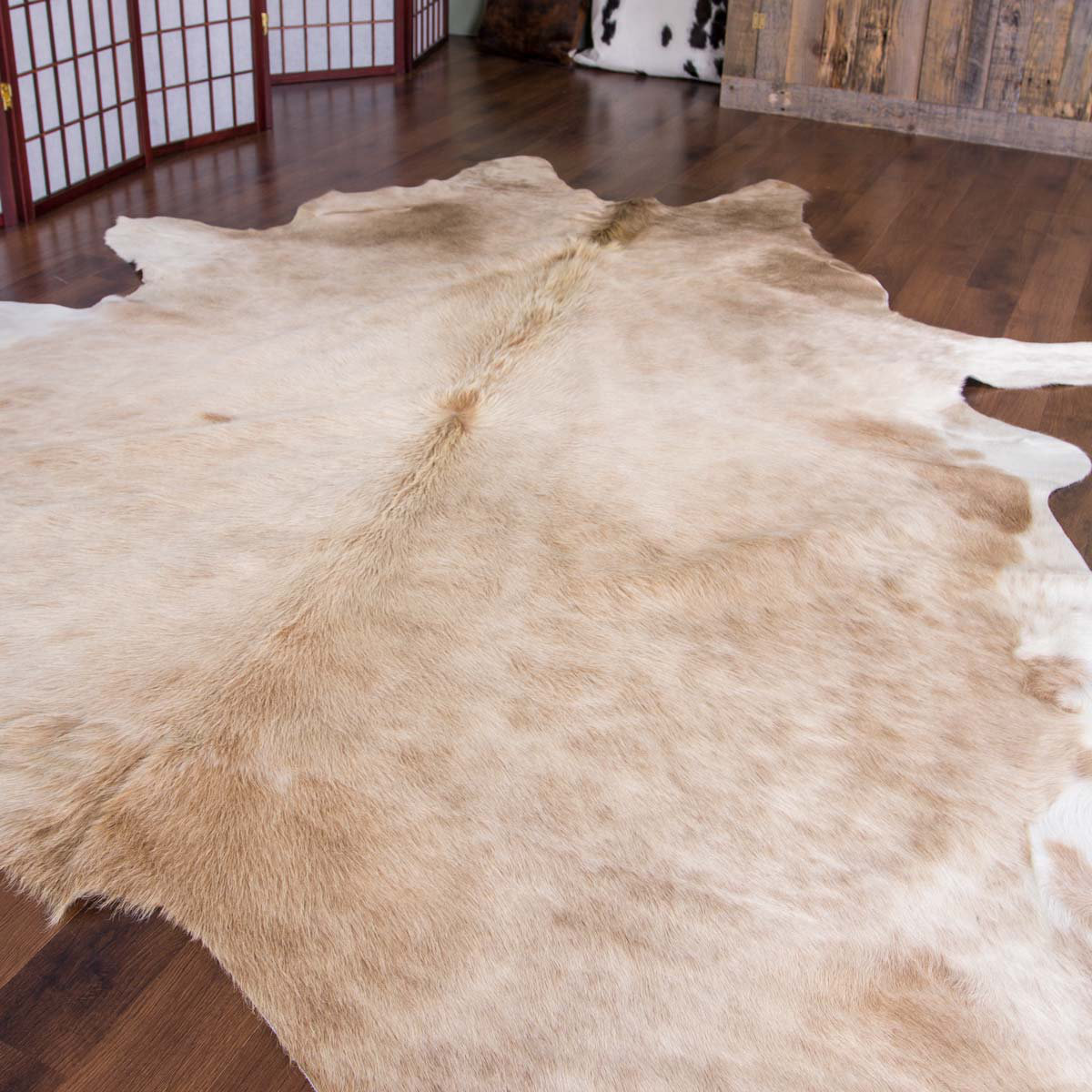 Union Rustic Rogelio Brazilian Handmade Cowhide Champagne Area Rug ...