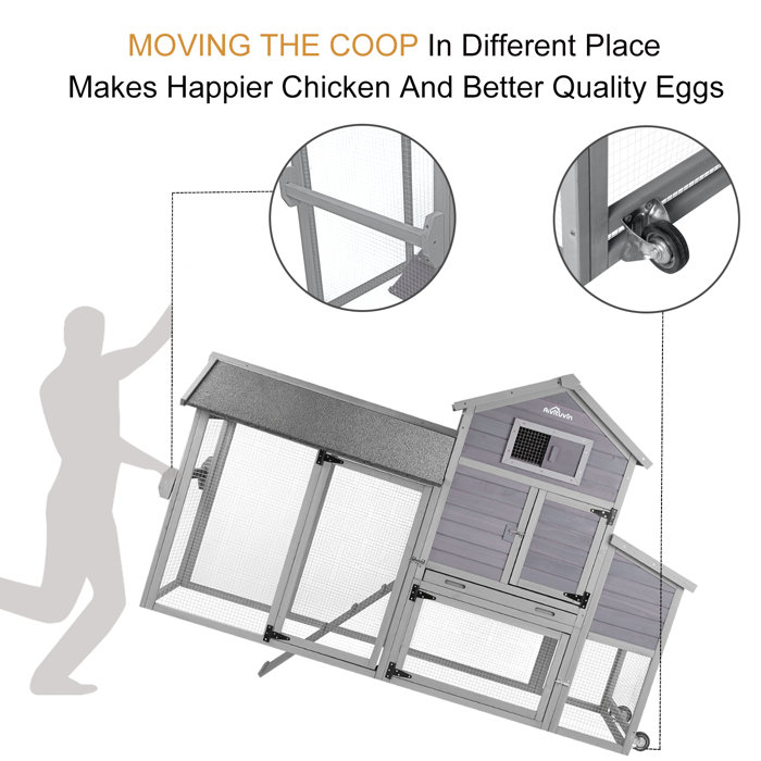 Tucker Murphy Pet™ Garvin 11 Square Feet Chicken Run & Reviews | Wayfair