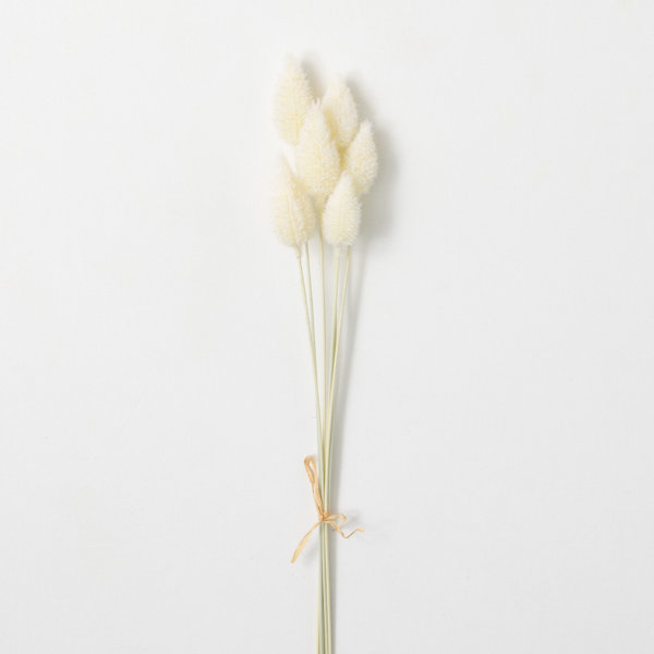 Mcneely Alabaster Cream Cone Stems | Birch Lane