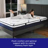 Revo Sleep Revo Ramora 8-Inch Hybrid Mattress | Wayfair