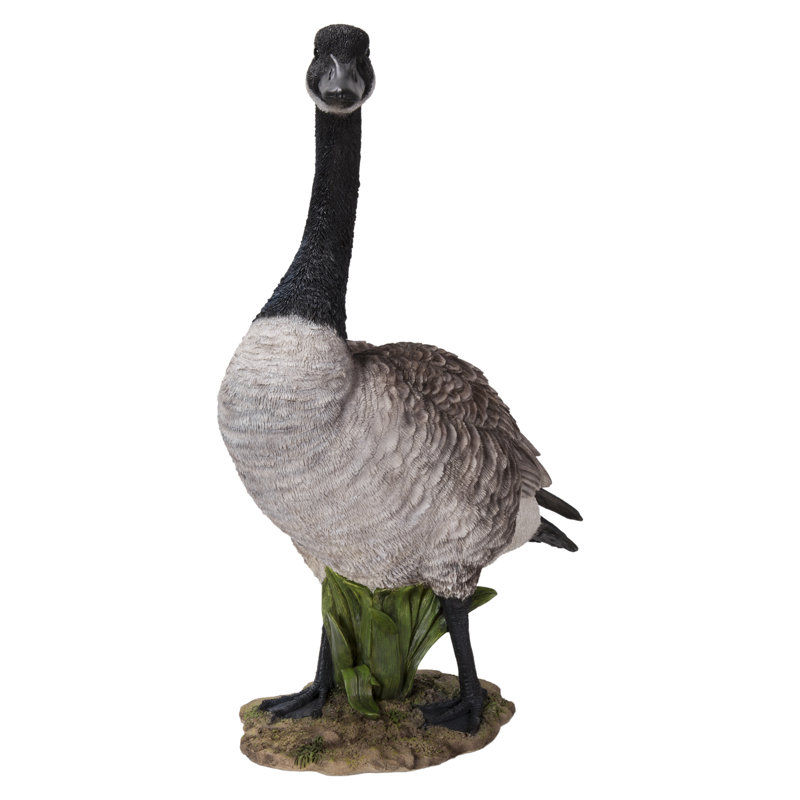 Hi-Line Gift Ltd. Standing Canada Goose Statue & Reviews | Wayfair