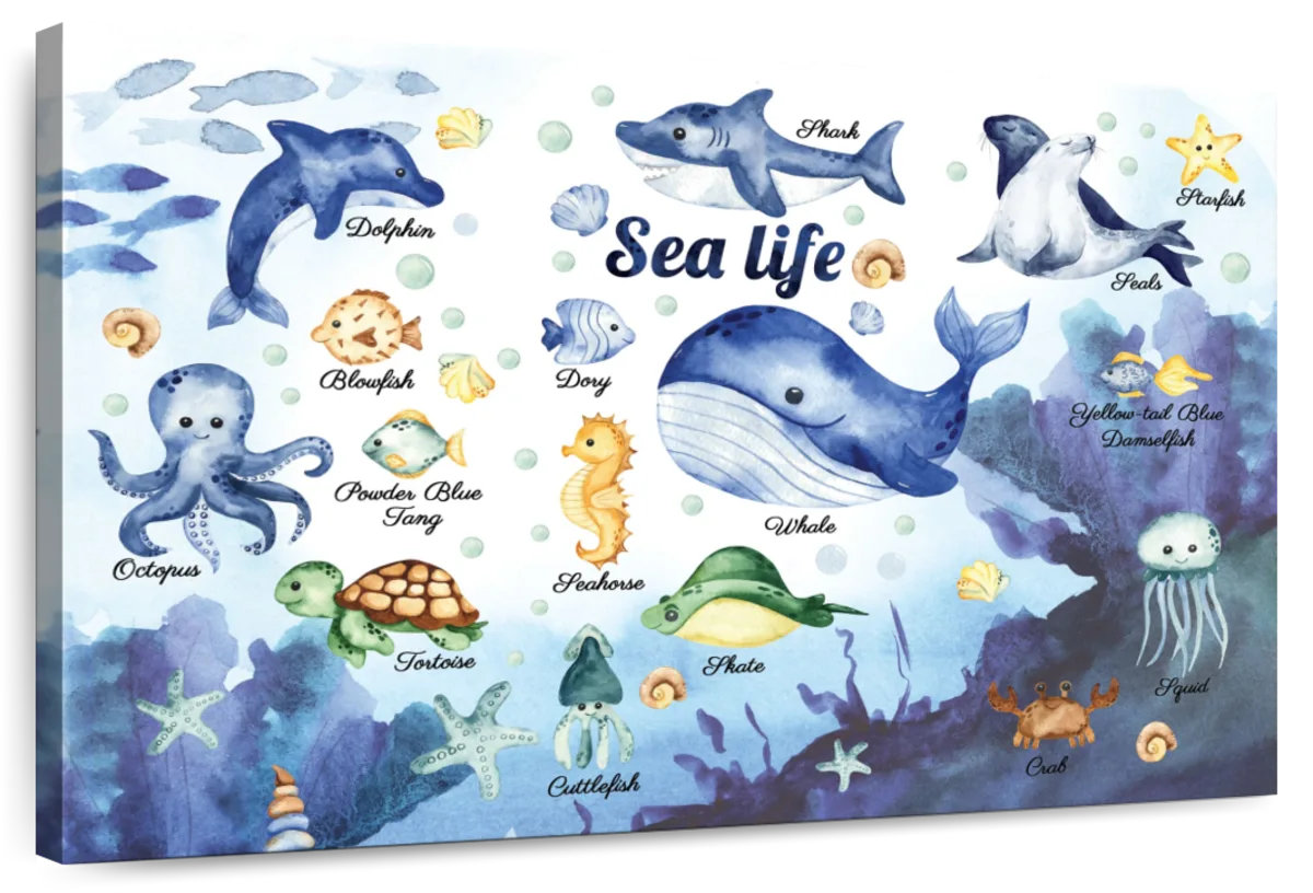 Elephant Stock Sea Life Chart - Wayfair Canada