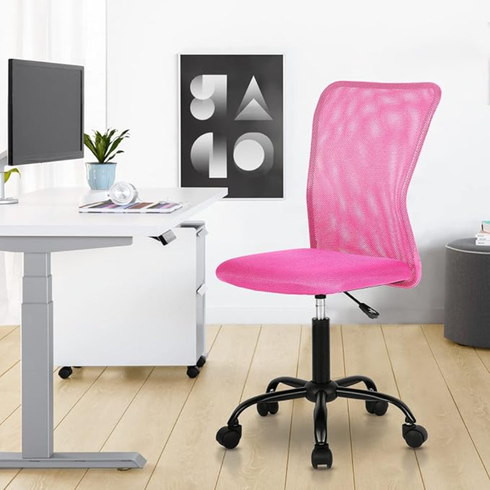 Latitude Run® Home Office Chair No Arms Small Rolling Chair Computer ...