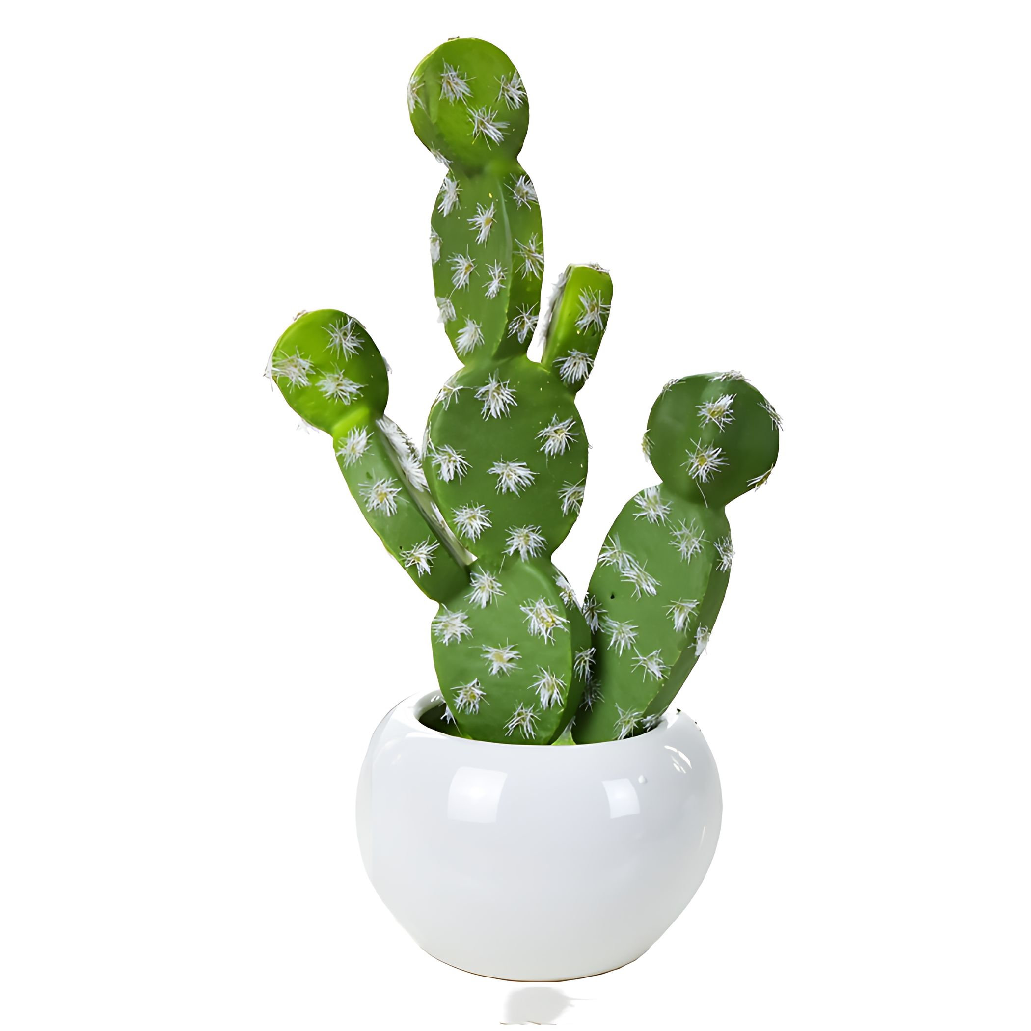 Primrue Simulated Succulent Plant Decoration Small Ornament Living Room ...