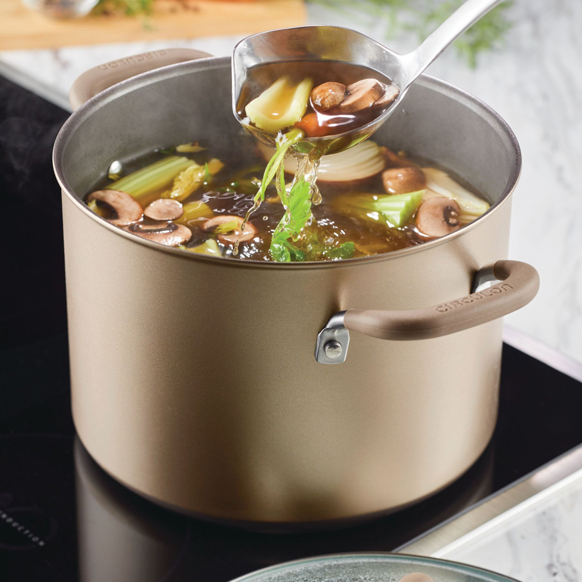 Circulon Premier Professional Hard Anodized Nonstick Cookware Induction ...