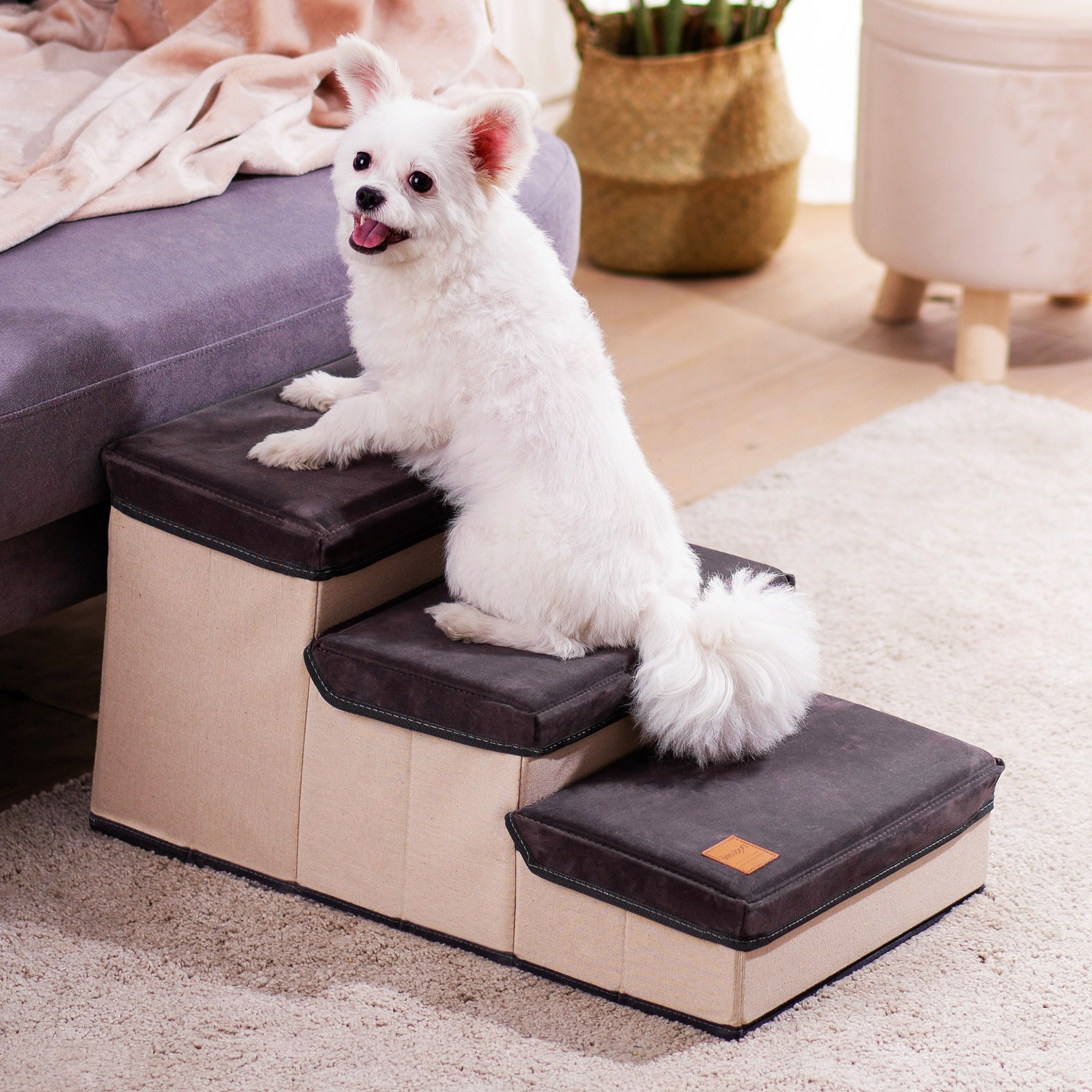 Tucker Murphy Pet™ Dog Ladder Storage Stepper - Wayfair Canada