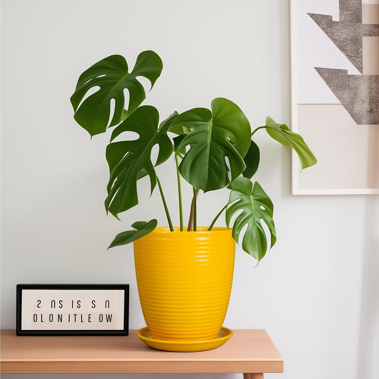 Ebern Designs 8 Inch Glossy Yellow Ceramic Planter Pot | Wayfair