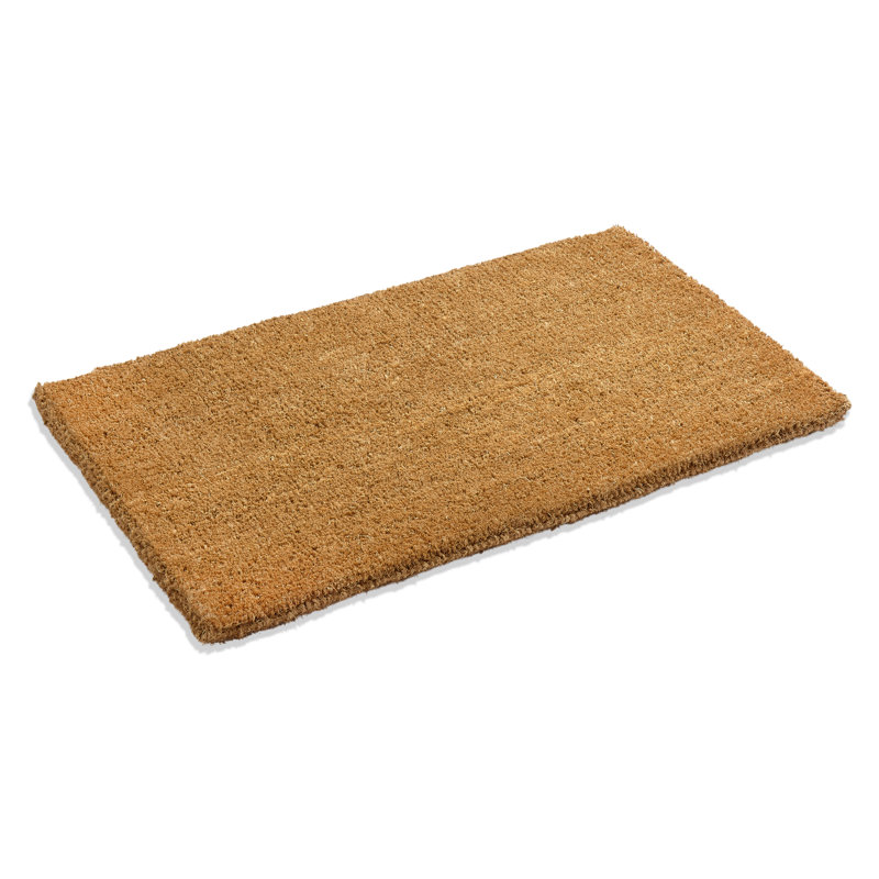 AllModern Hancock Plain Outdoor Door Mat & Reviews | AllModern