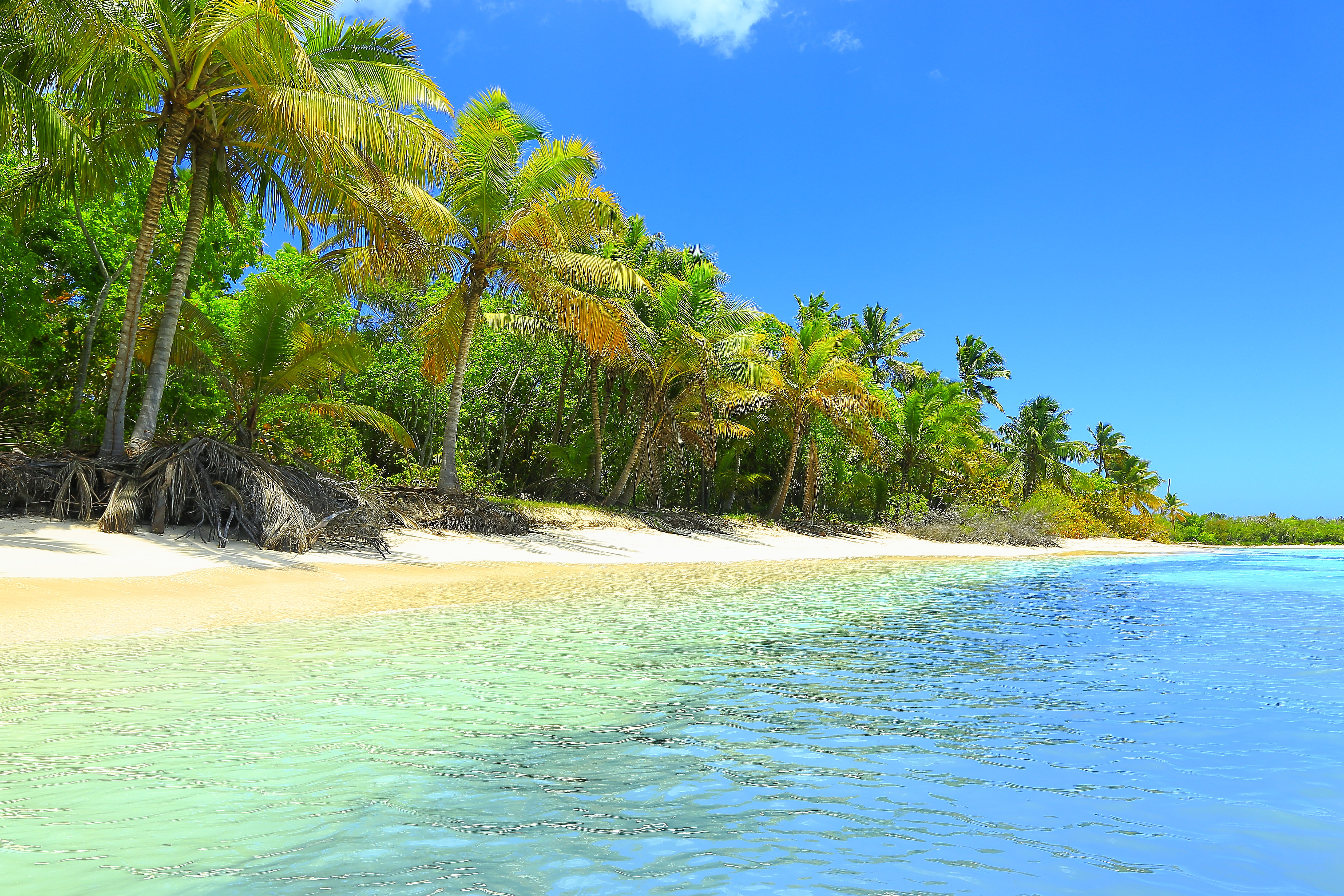 Highland Dunes Sandy Beach by Agustavop | Wayfair