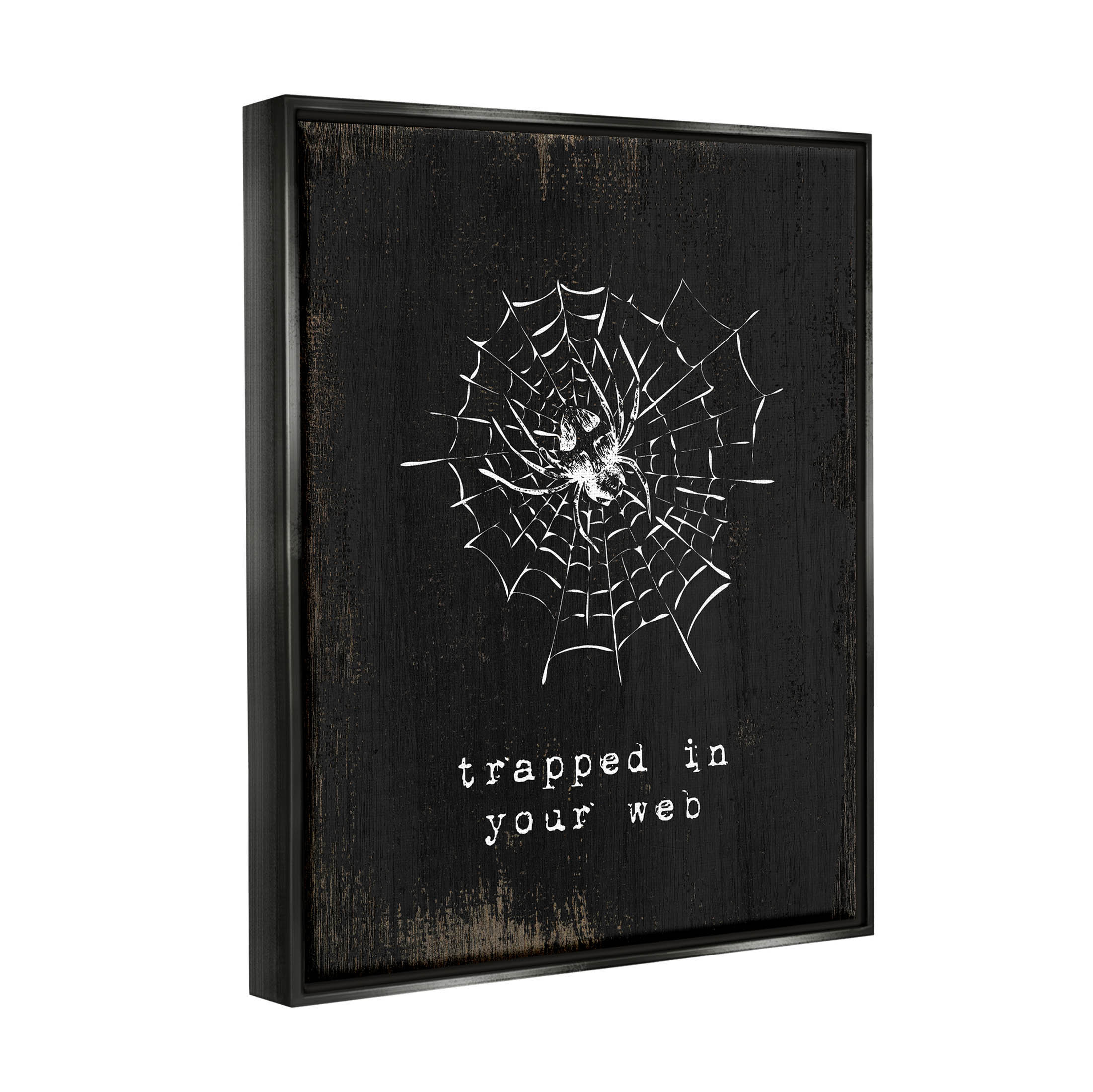 17 Stories Trapped In Your Web Spider Framed Floater Canvas Wall Art By ...
