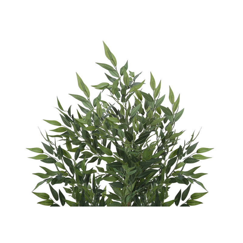 Primrue Matthews 47'' Faux Acacia Plant in Polyethylene (Pe) Pot | Wayfair