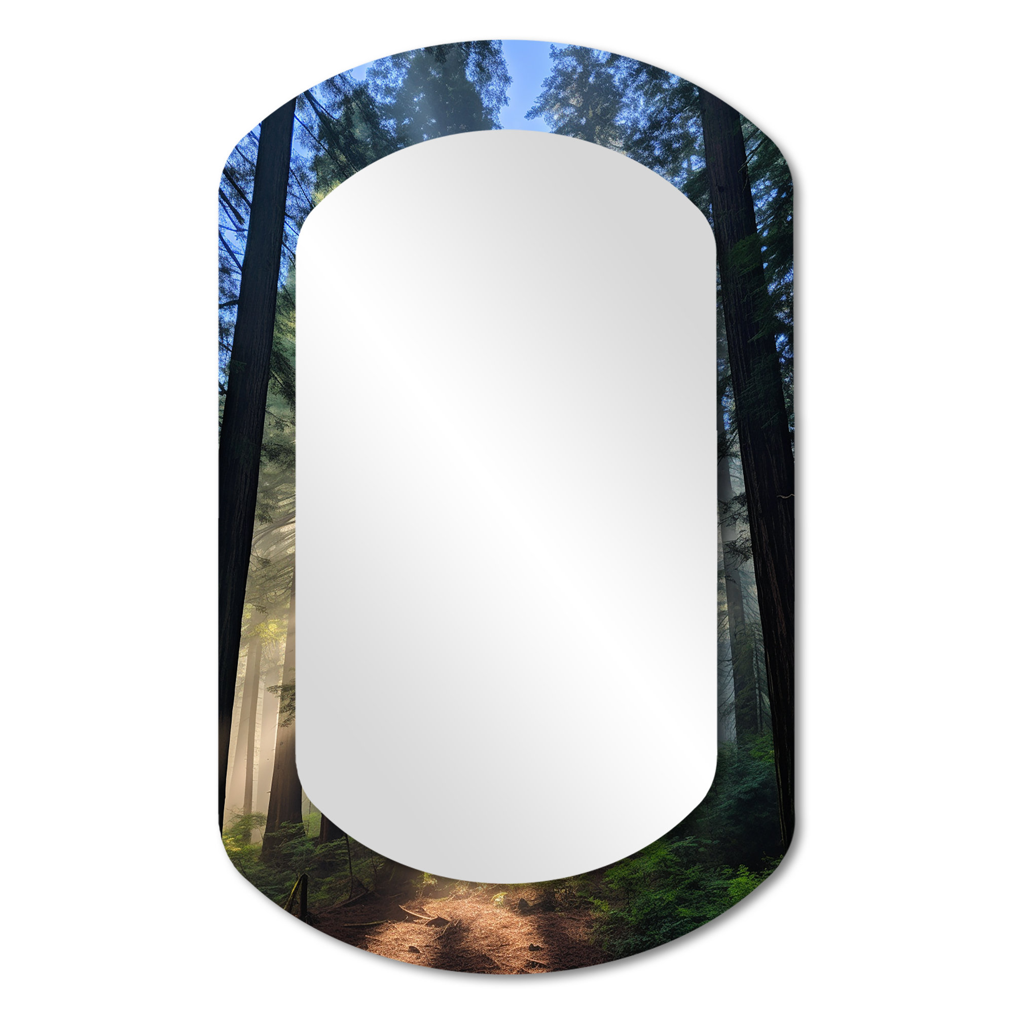 Dakota Fields God Rays Sunshine Through The Trees - Redwood Cylinder ...