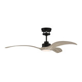 Angled Extremely Large Room Ceiling Fans With Lights You'll Love | Wayfair