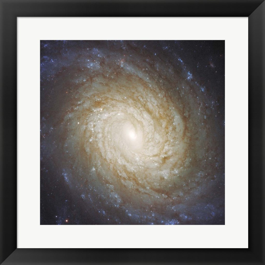 Ivy Bronx Nucleus of Spiral Galaxy NGC 976 - Single Picture Frame ...