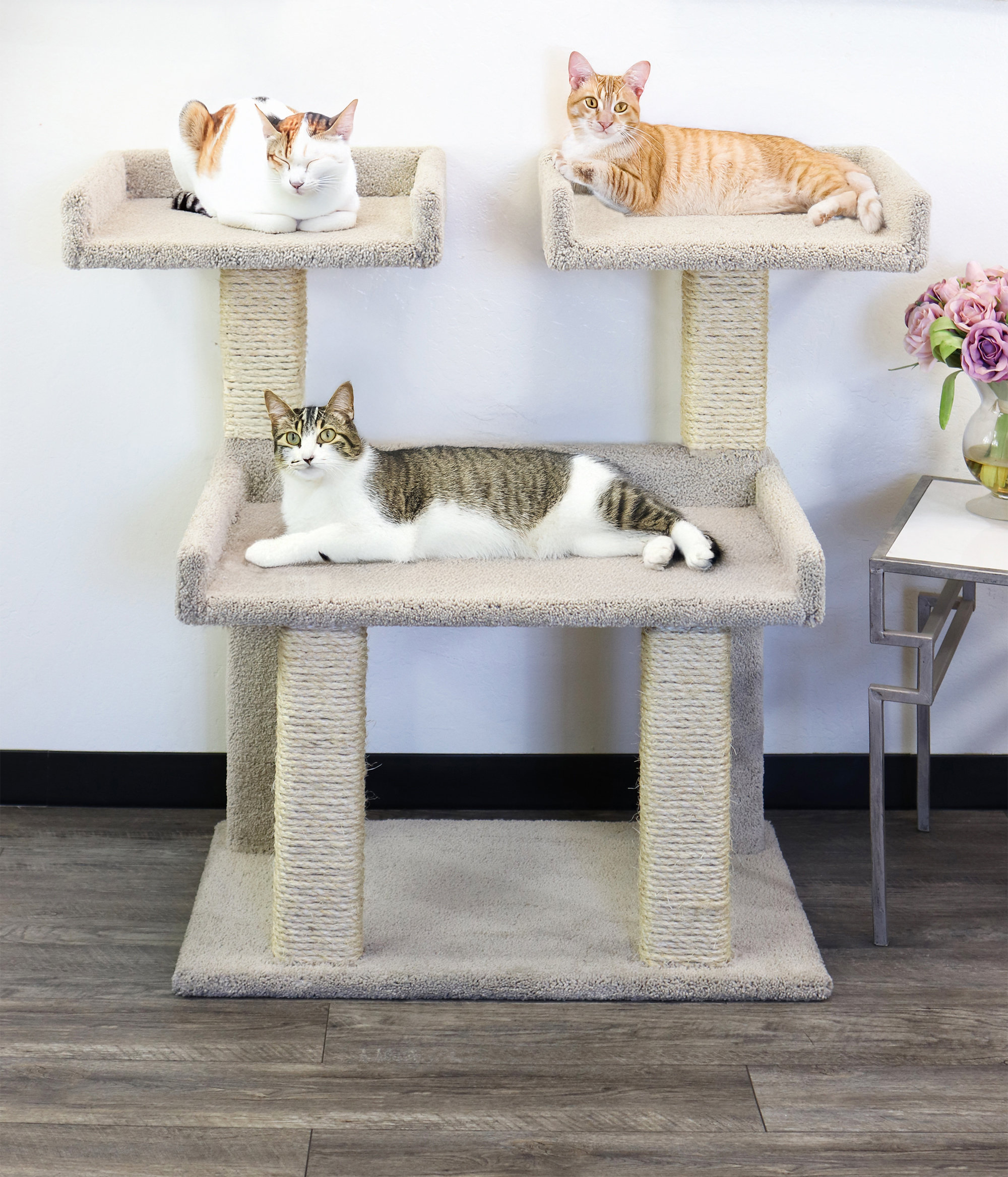 Prestige Cat Trees 38'' H Cat Tree & Reviews | Wayfair