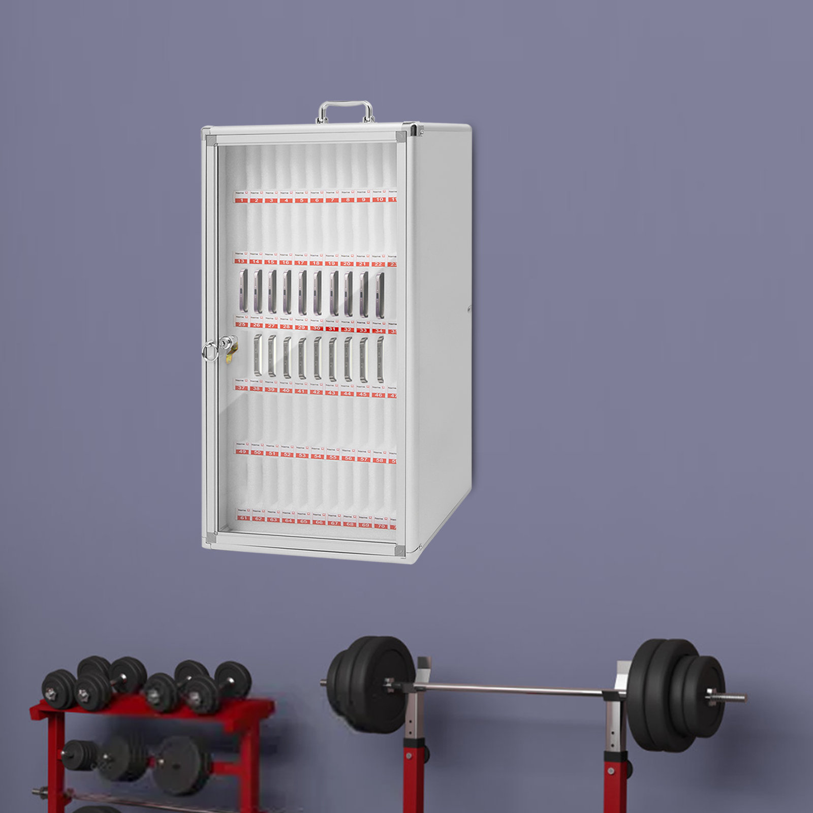 FRONG Wall-mounted 72 Slots Metal Cell Phone Locker | Wayfair