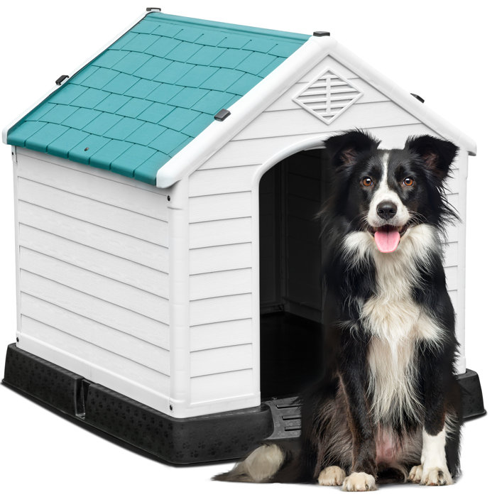 Archie & Oscar™ Shelia Plastic Portable Dog House & Reviews | Wayfair