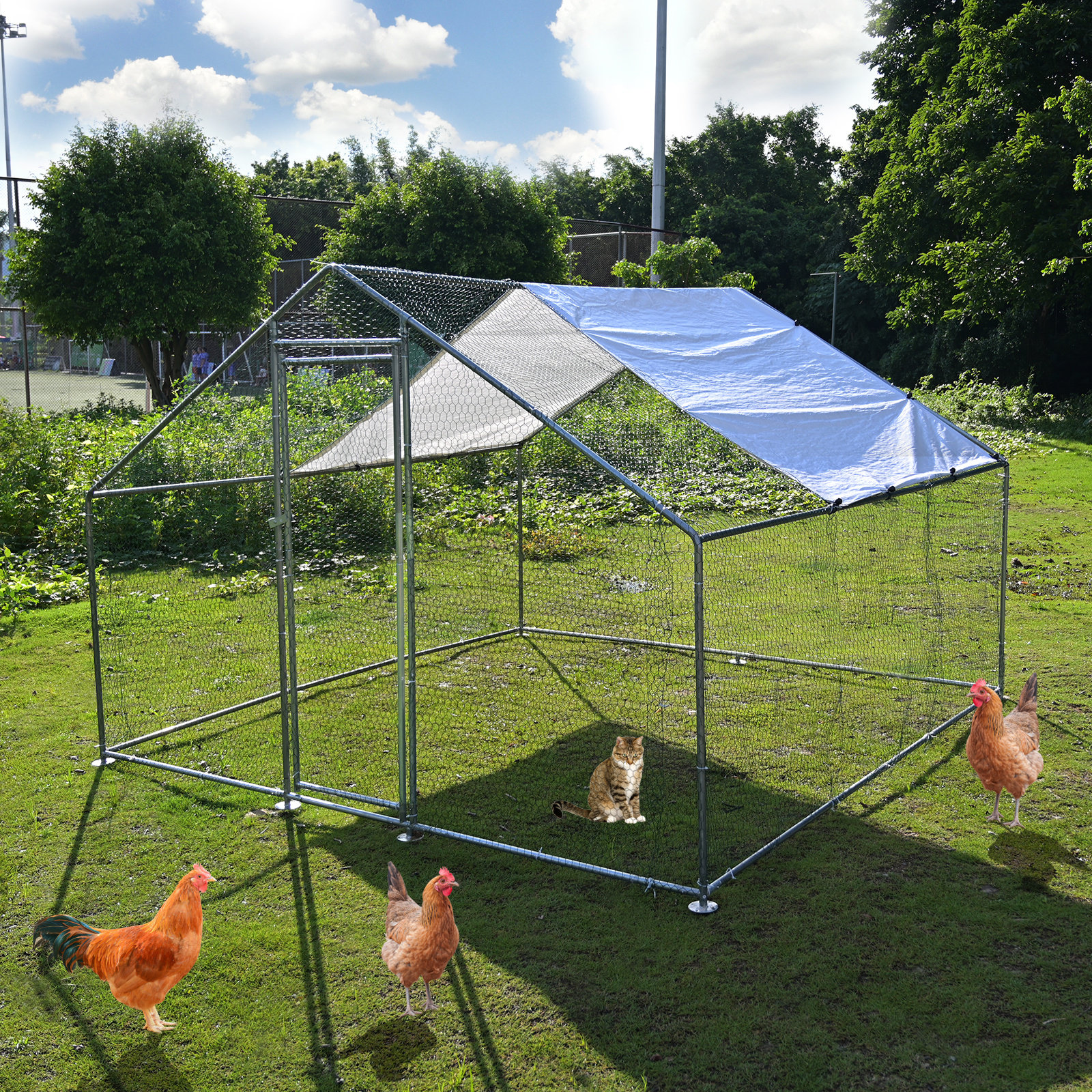 Tucker Murphy Pet™ Chicken Poultry Cage With Roof - Wayfair Canada