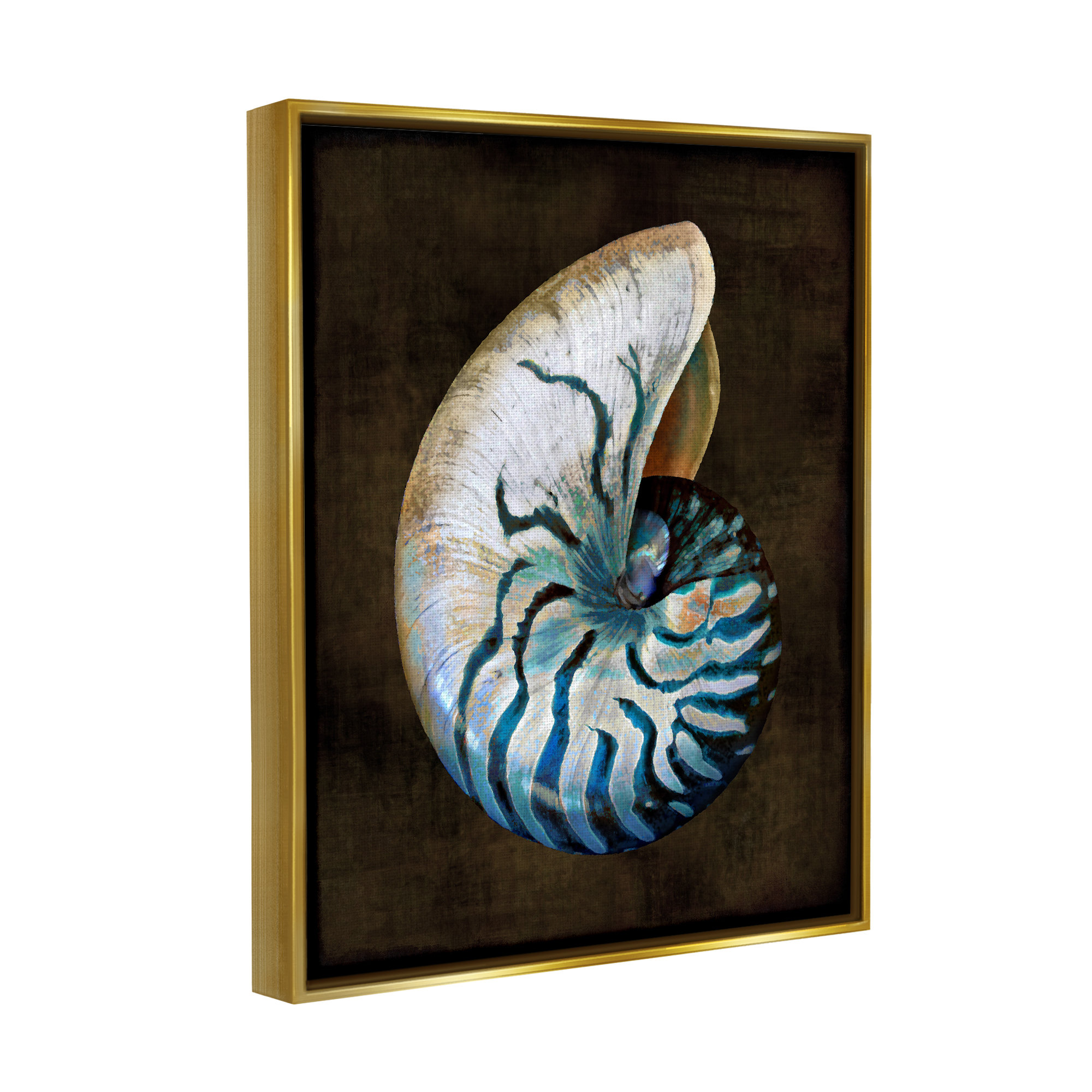 Dovecove Modern Marine Shell Framed Floater Canvas Wall Art Design By ...